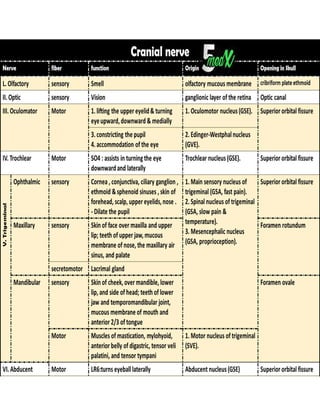 Practical anatomy | PDF