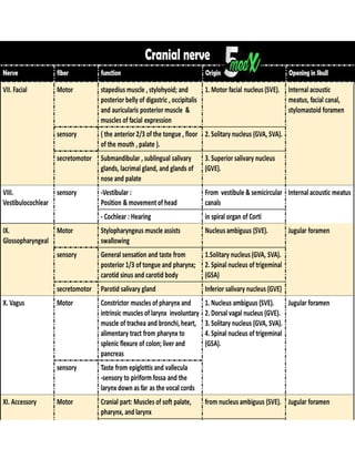 Practical anatomy | PDF