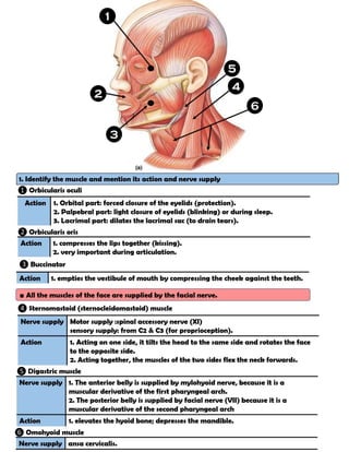 Practical anatomy | PDF