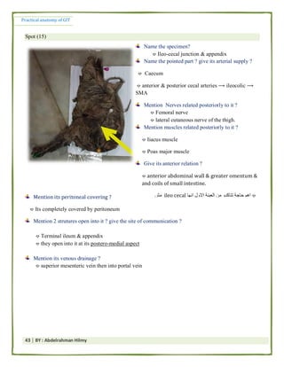 Practical anatomy of the git | PDF