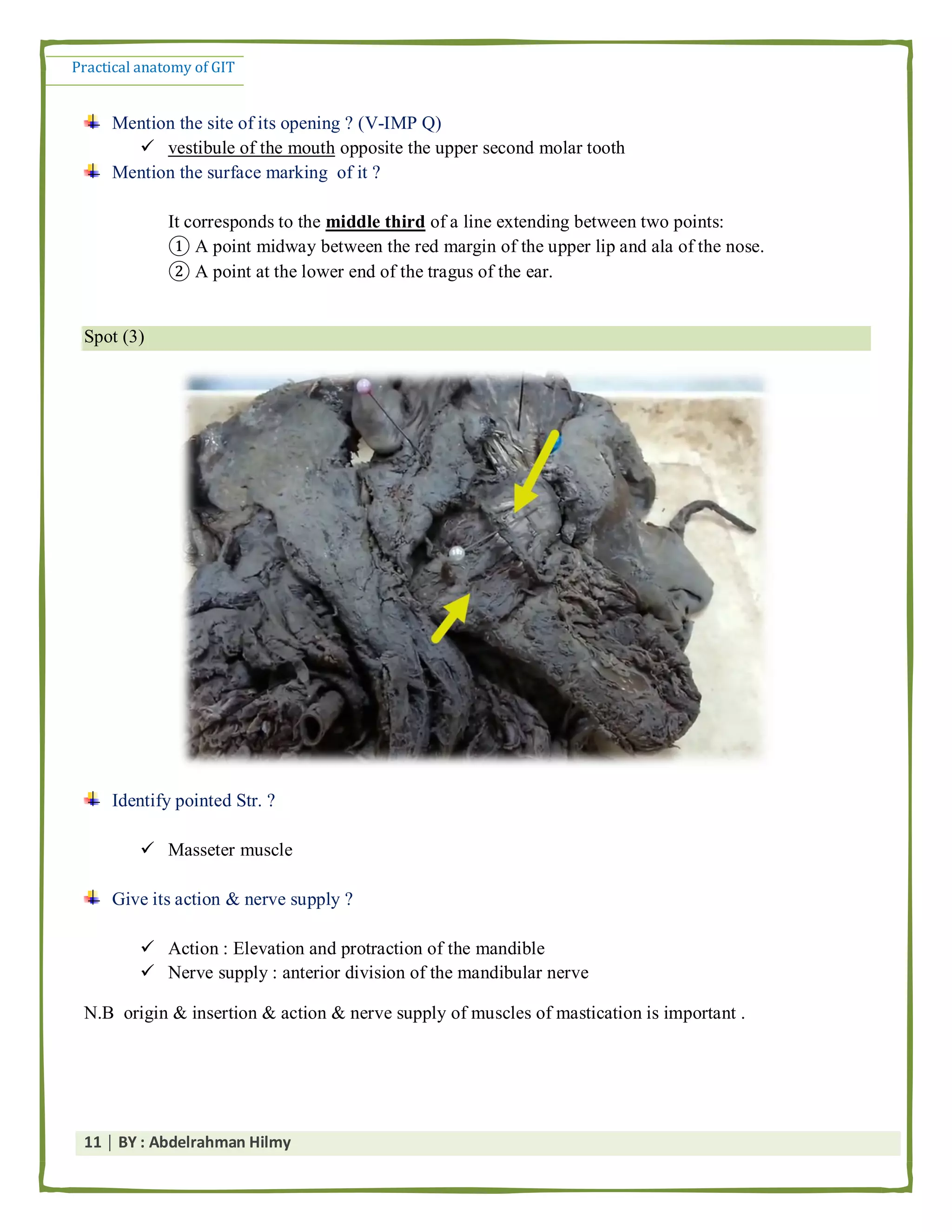 Practical anatomy of the git by abd el rahman helmy | PDF