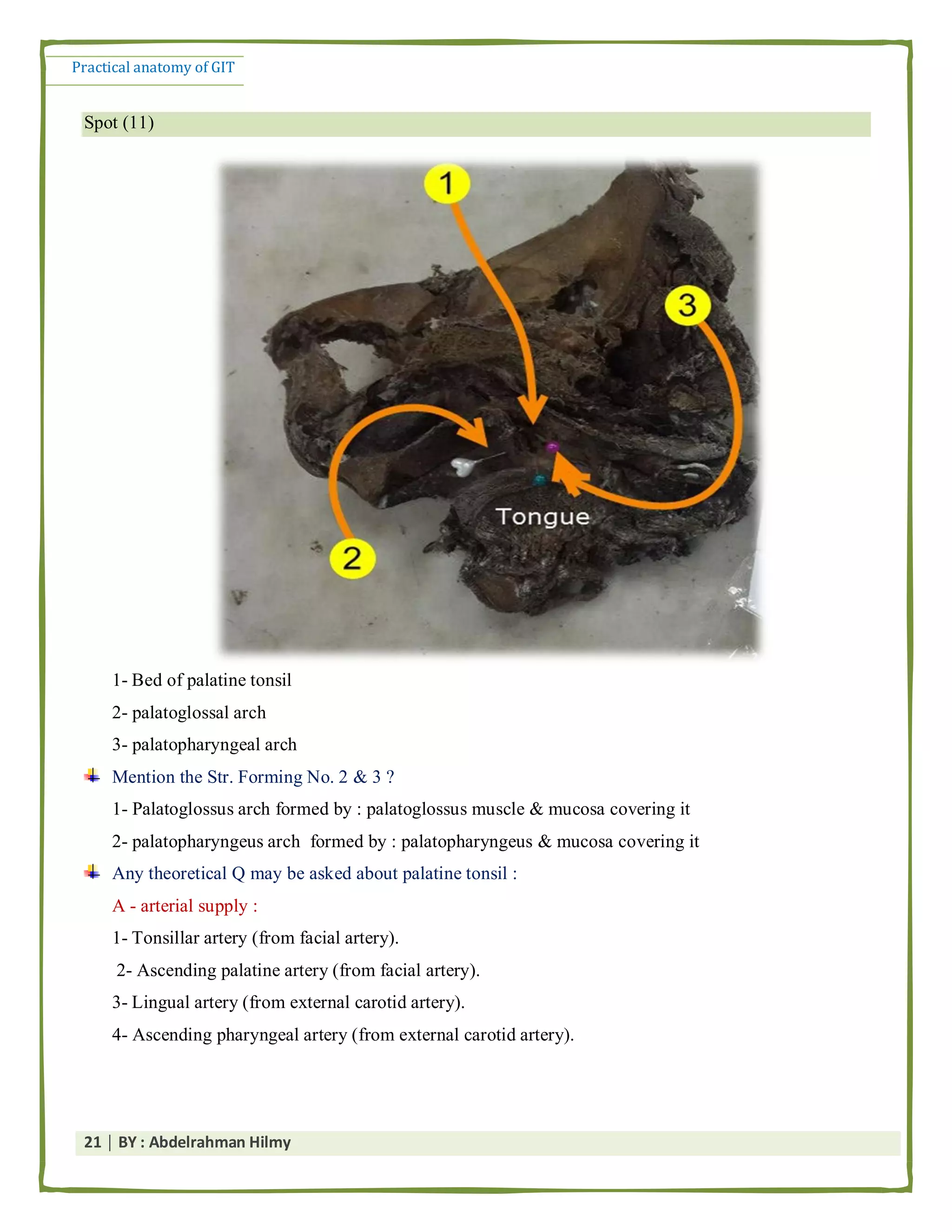 Practical anatomy of the git by abd el rahman helmy | PDF