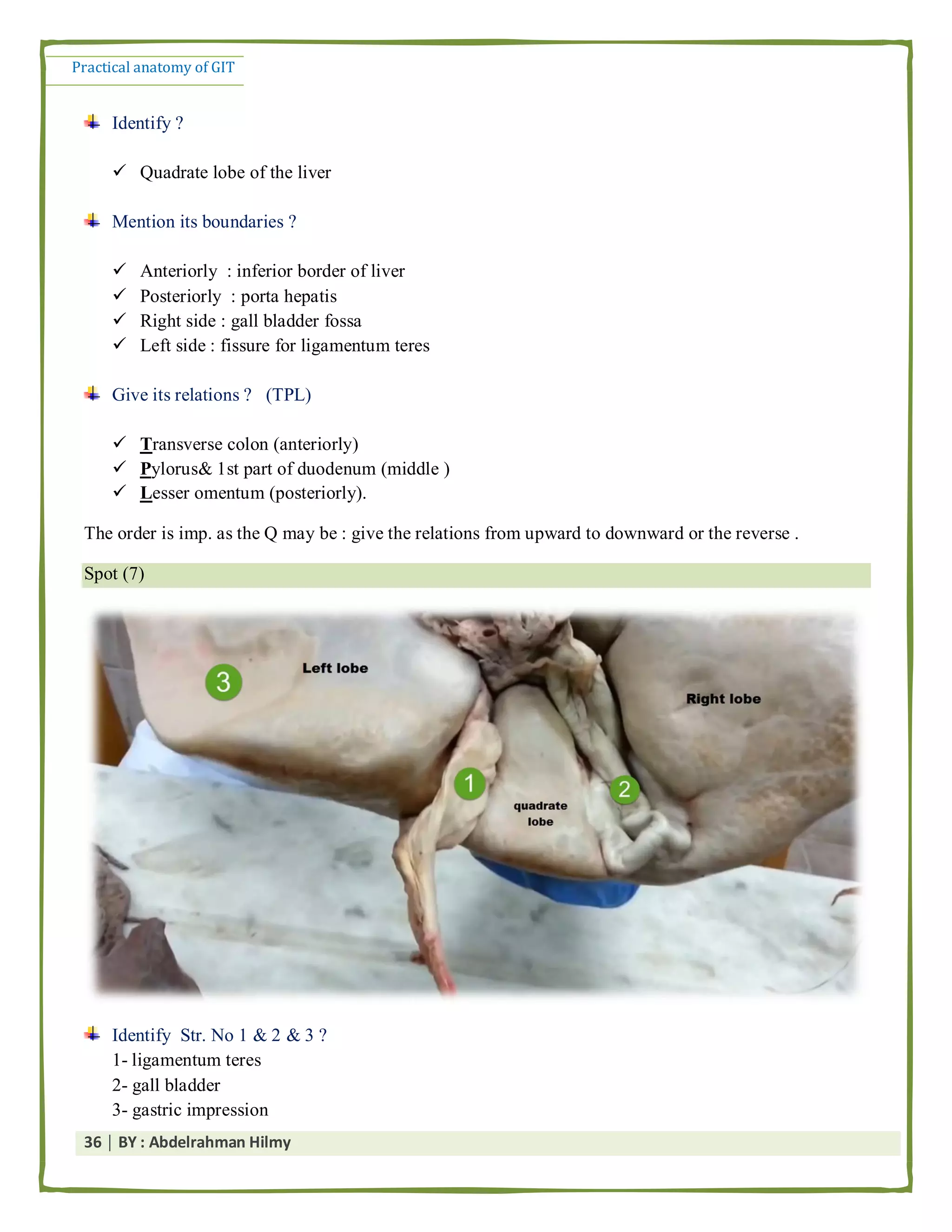 Practical anatomy of the git by abd el rahman helmy | PDF