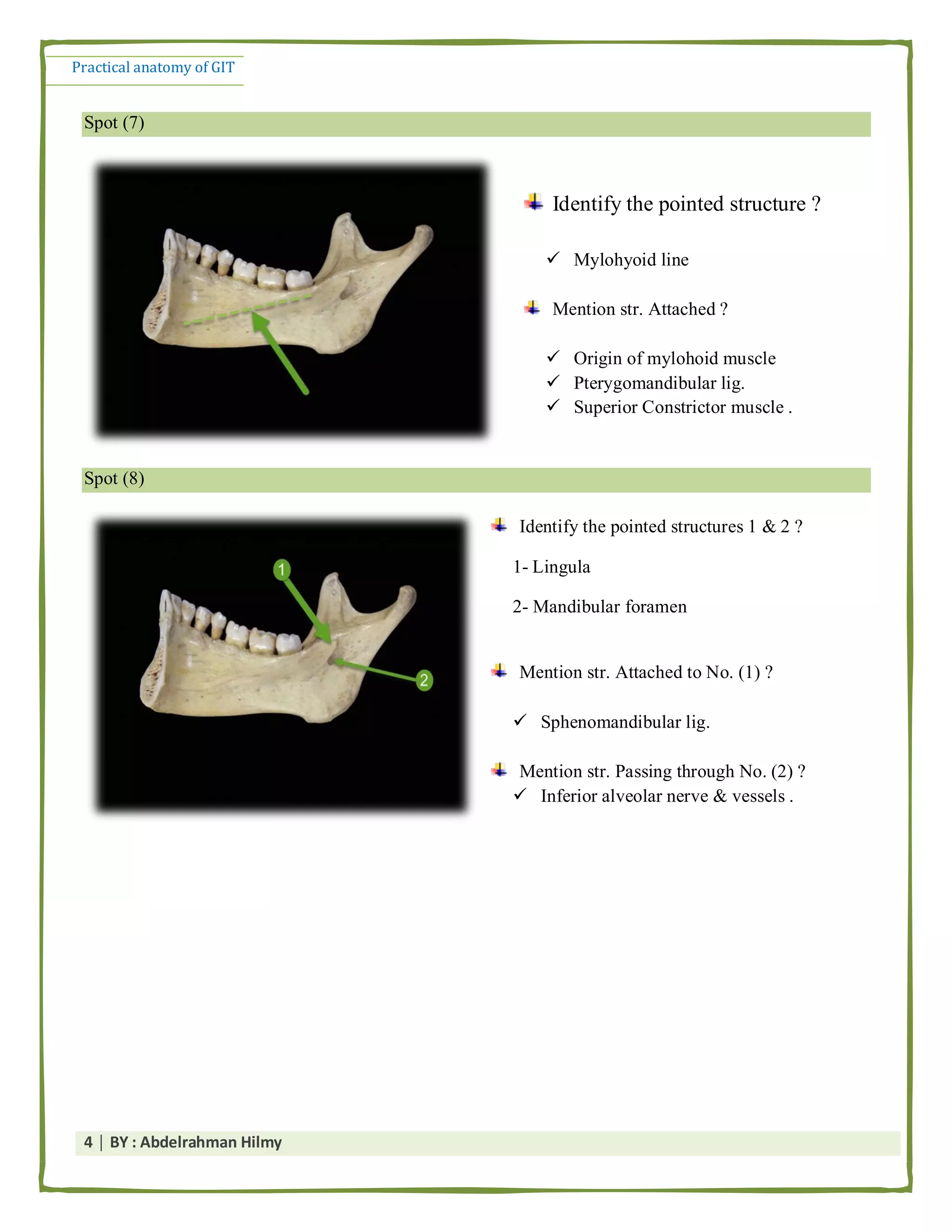 Practical anatomy of the git by abd el rahman helmy | PDF