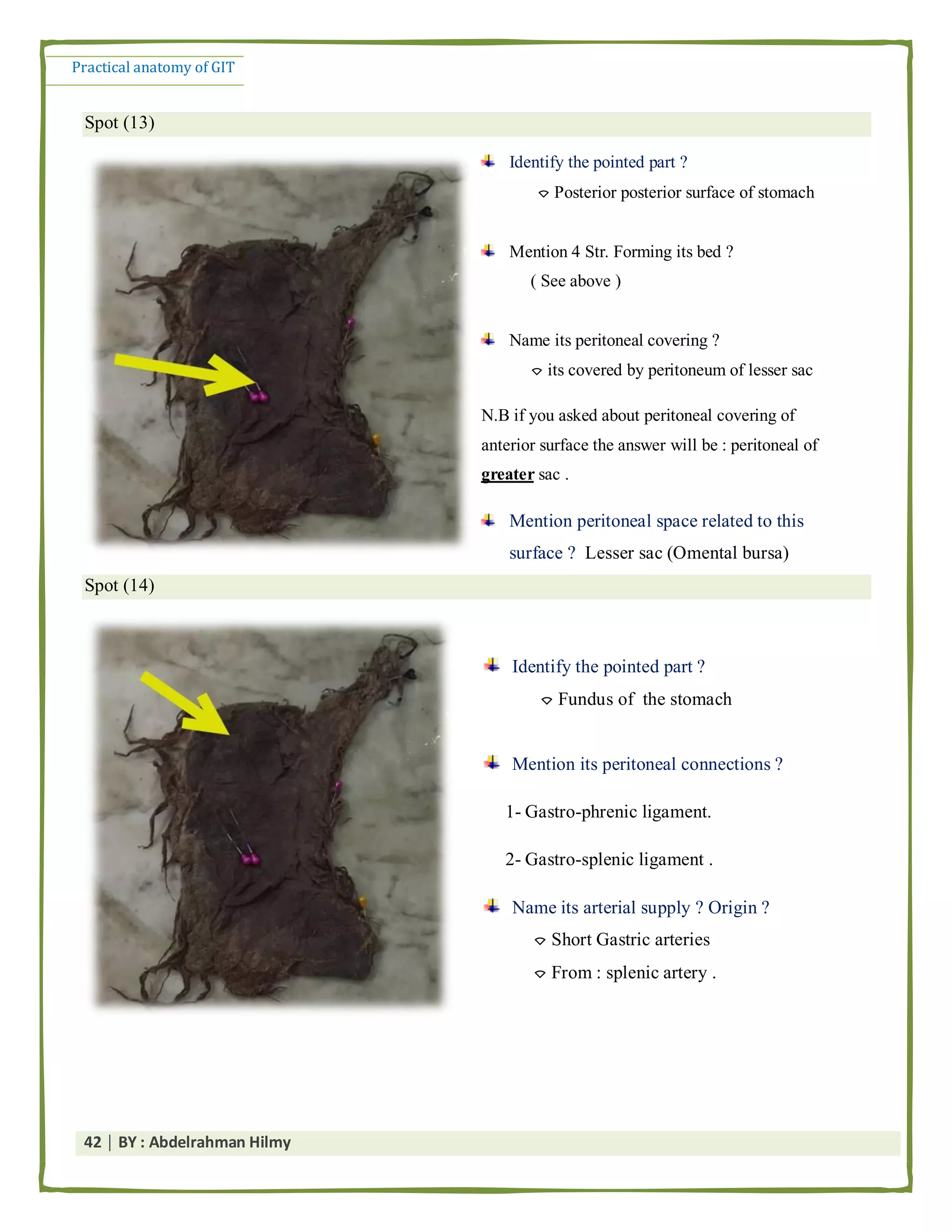 Practical anatomy of the git by abd el rahman helmy | PDF