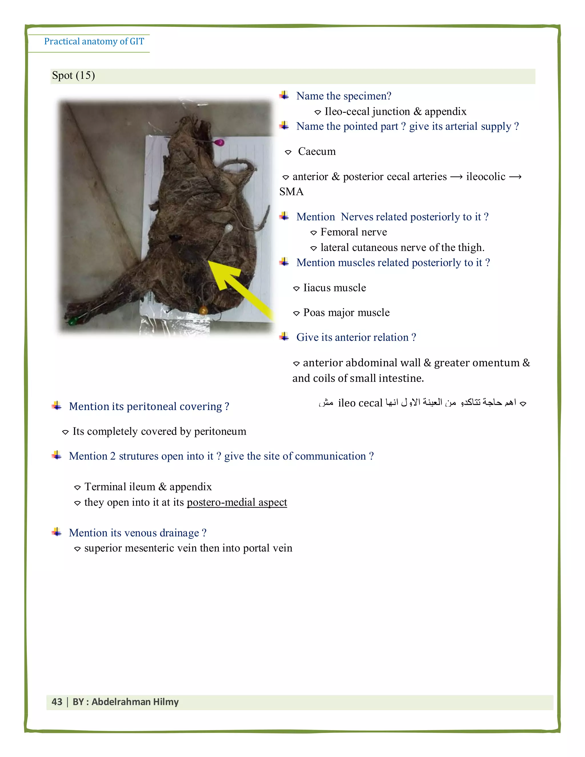 Practical anatomy of the git by abd el rahman helmy | PDF