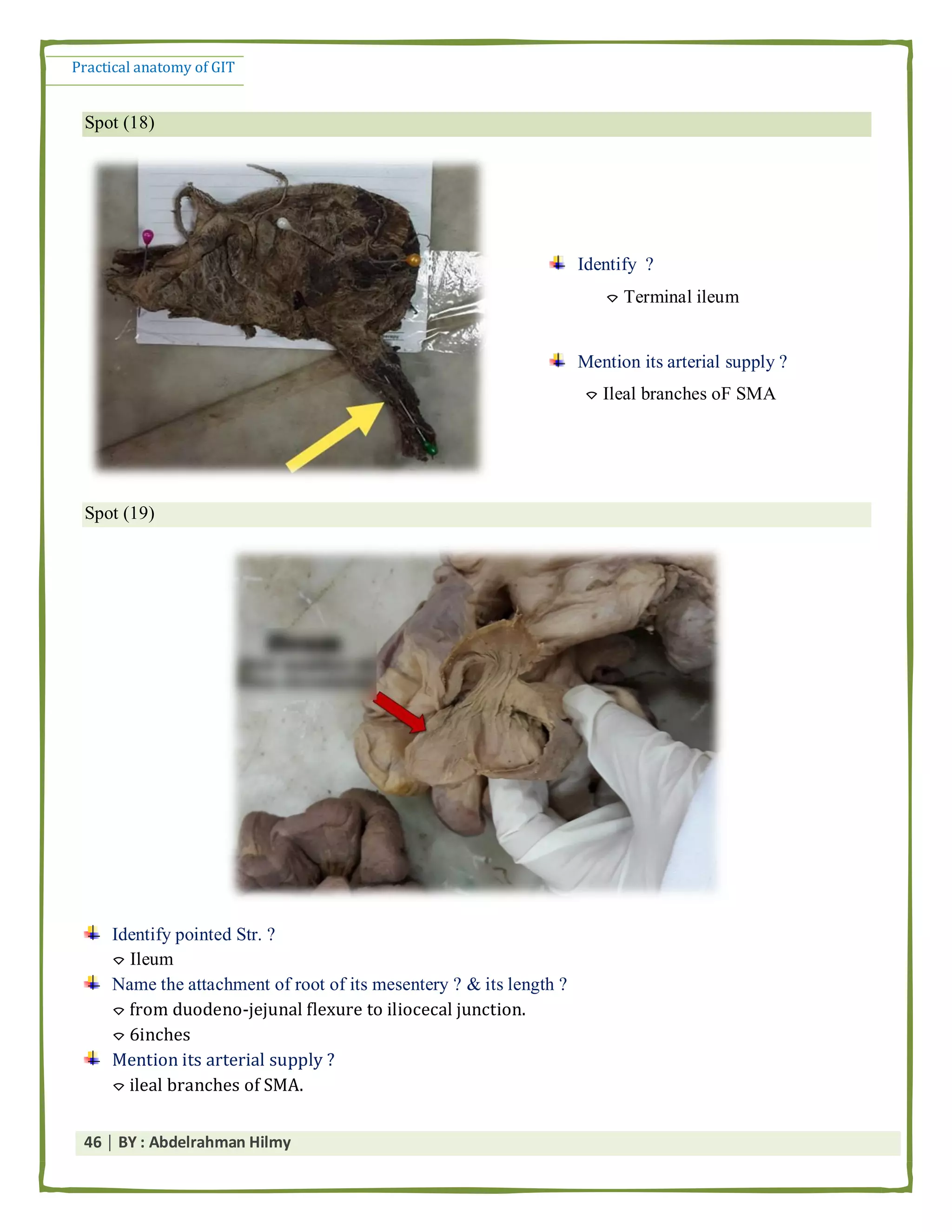 Practical anatomy of the git by abd el rahman helmy | PDF