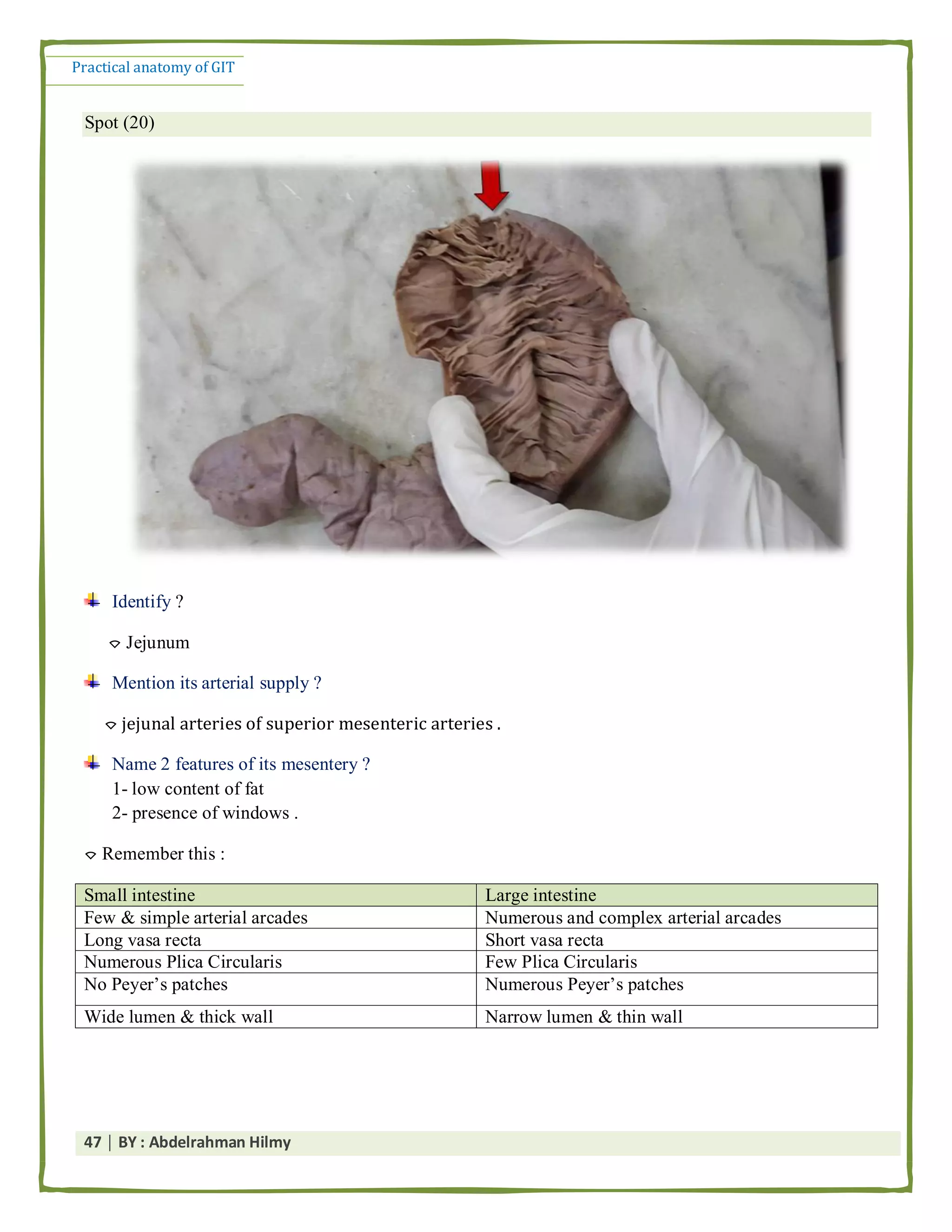 Practical anatomy of the git by abd el rahman helmy | PDF