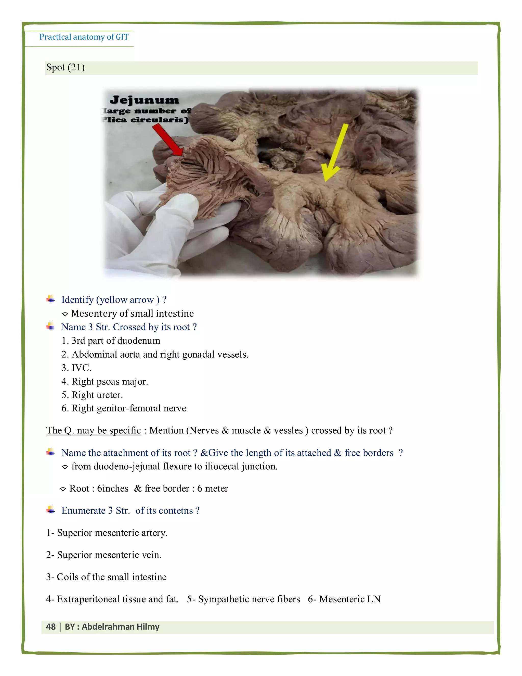 Practical anatomy of the git by abd el rahman helmy | PDF