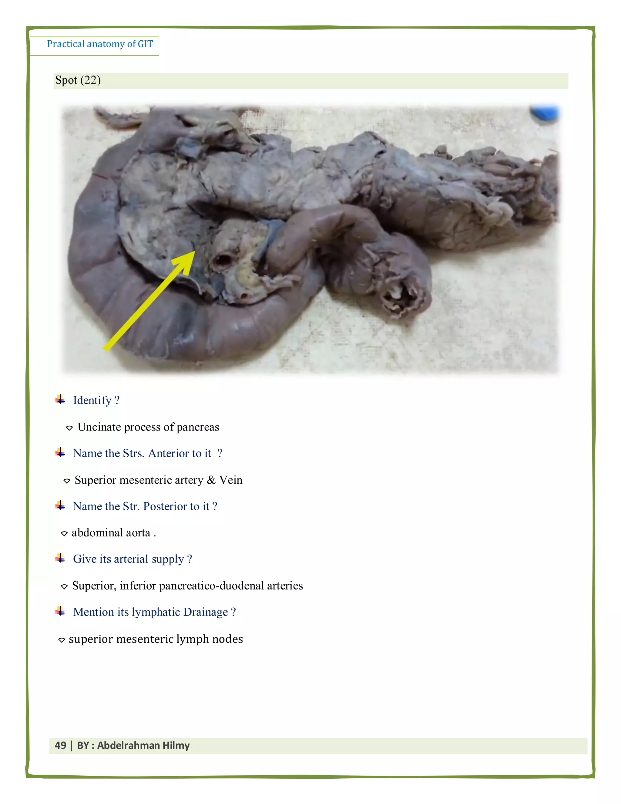 Practical anatomy of the git by abd el rahman helmy | PDF