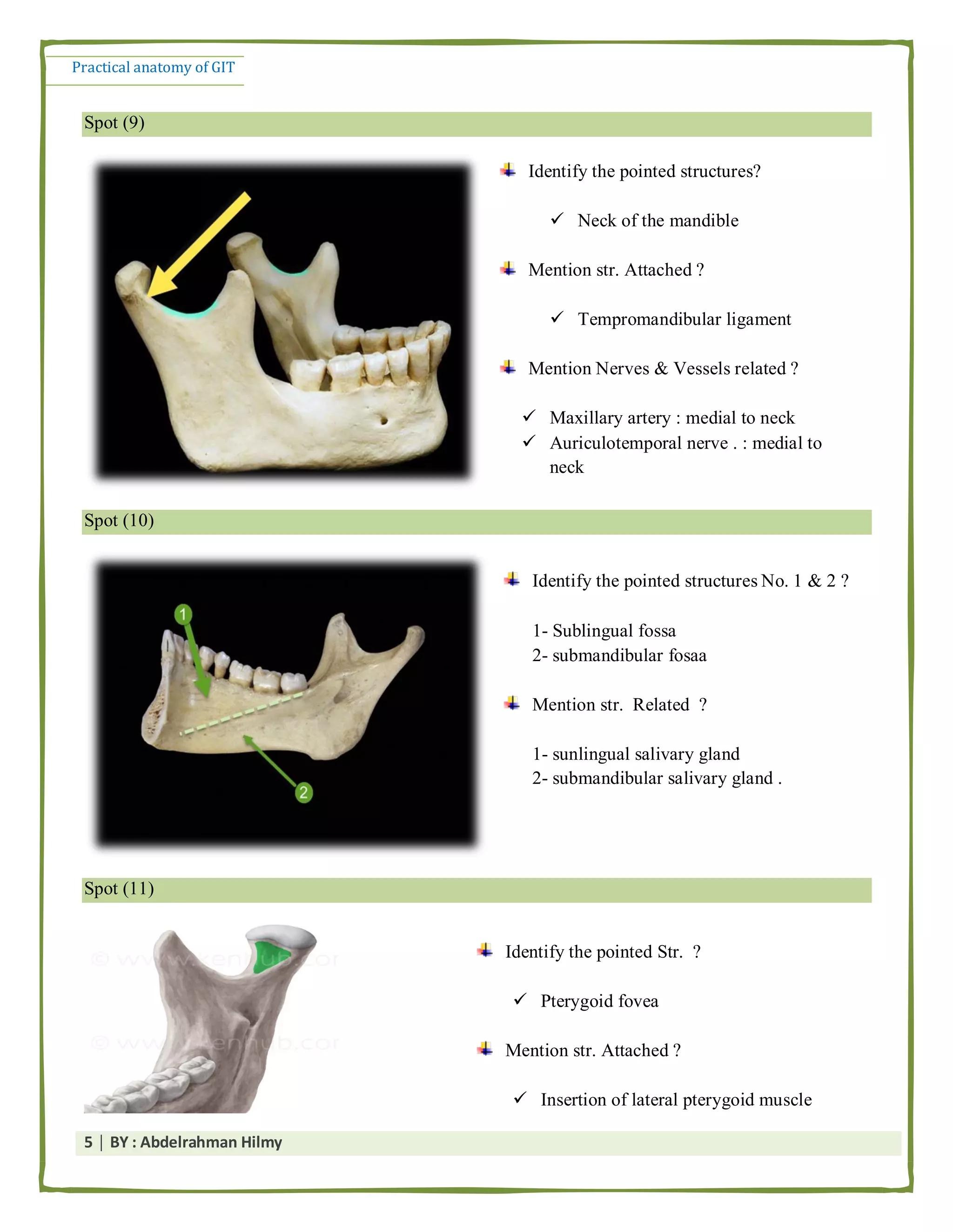 Practical anatomy of the git by abd el rahman helmy | PDF
