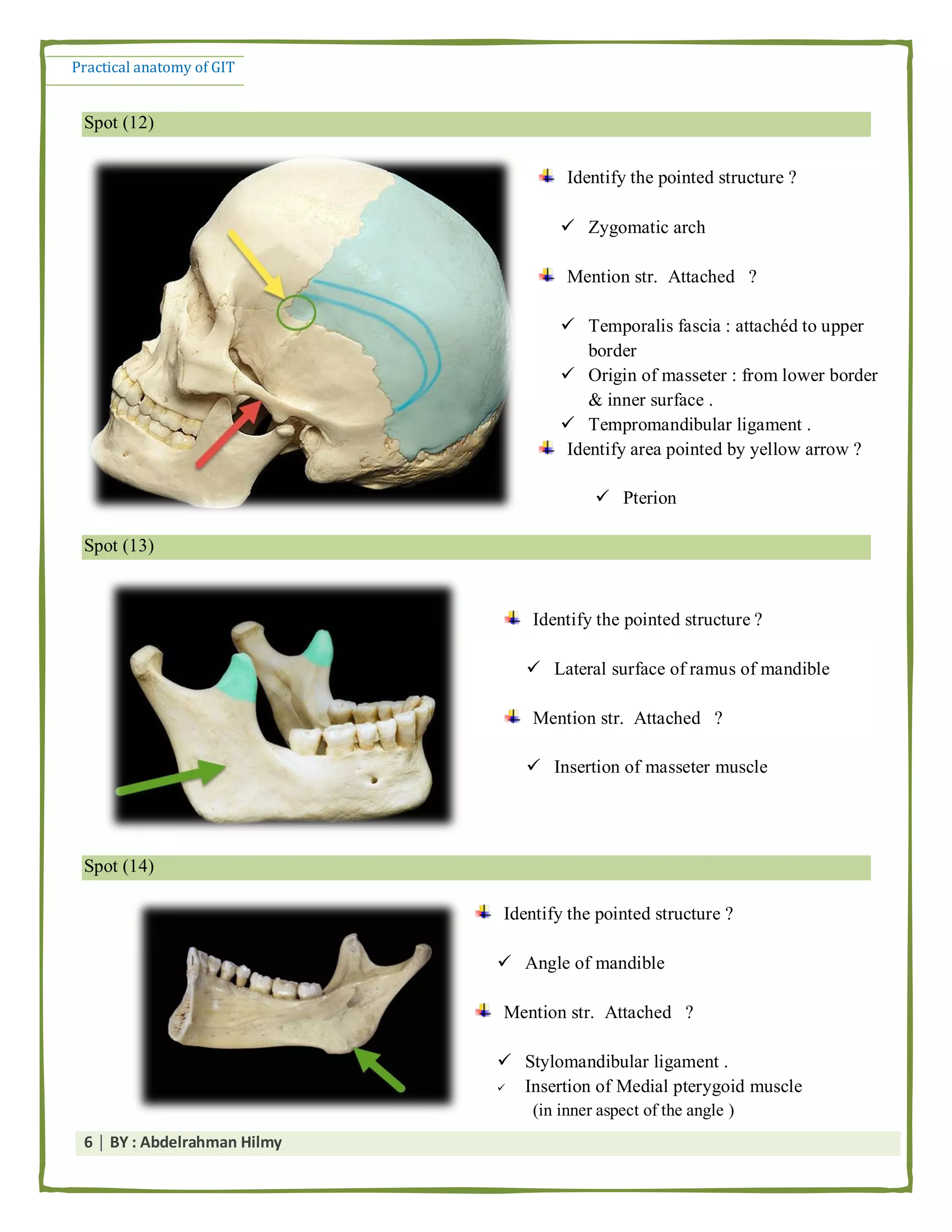 Practical anatomy of the git by abd el rahman helmy | PDF