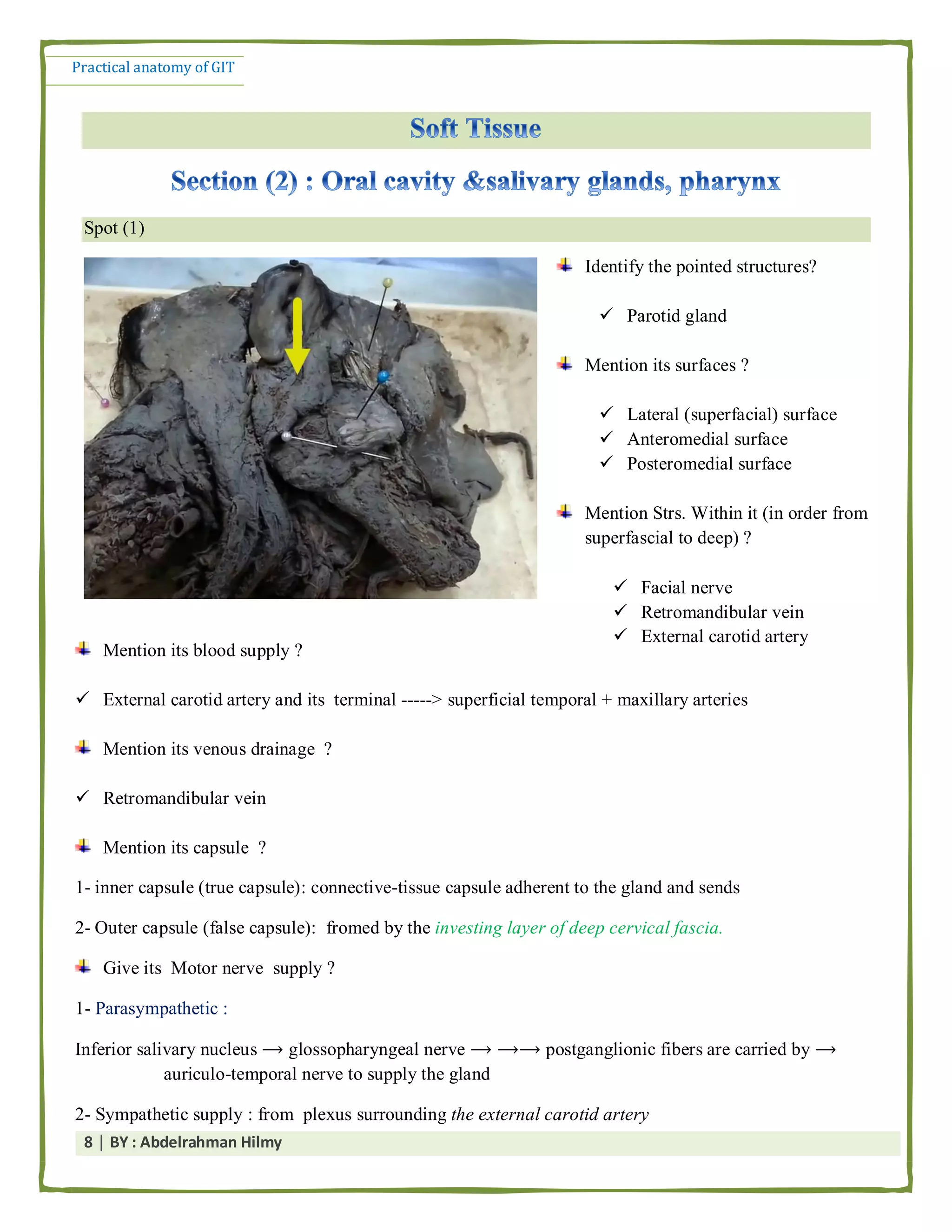 Practical anatomy of the git by abd el rahman helmy | PDF