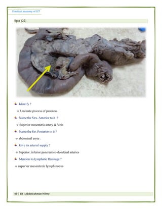 Practical anatomy of the git by abd el rahman helmy | PDF