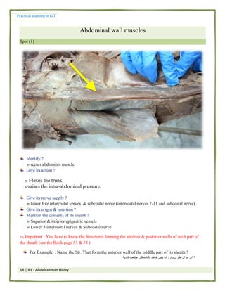 Practical anatomy of the git by abd el rahman helmy | PDF
