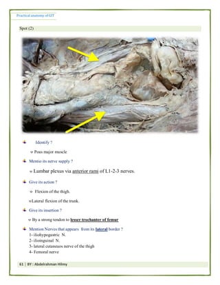 Practical anatomy of the git by abd el rahman helmy | PDF
