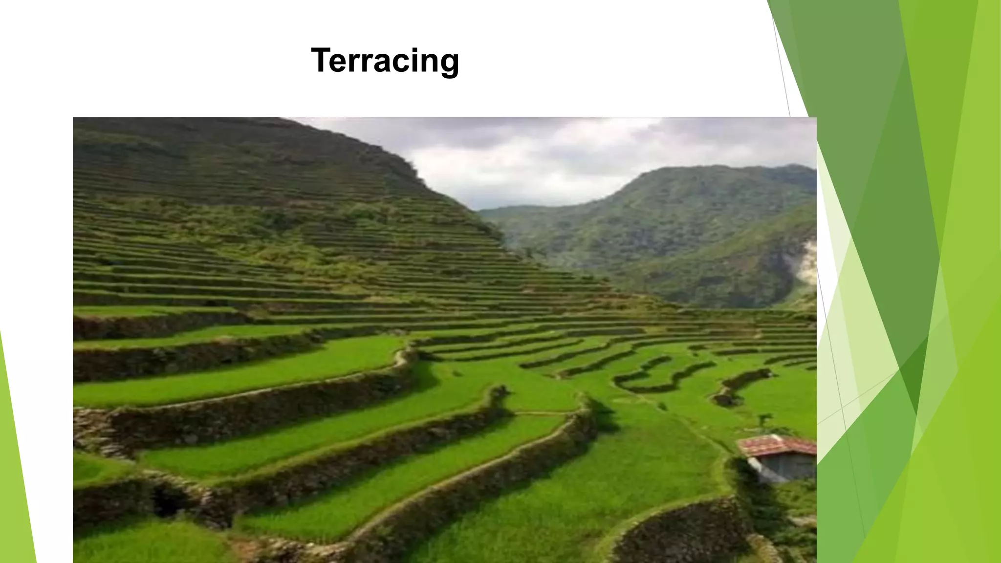 PRACTICAL AND DESIGN ASPECTS OF TERRACING (2)-4.pptx