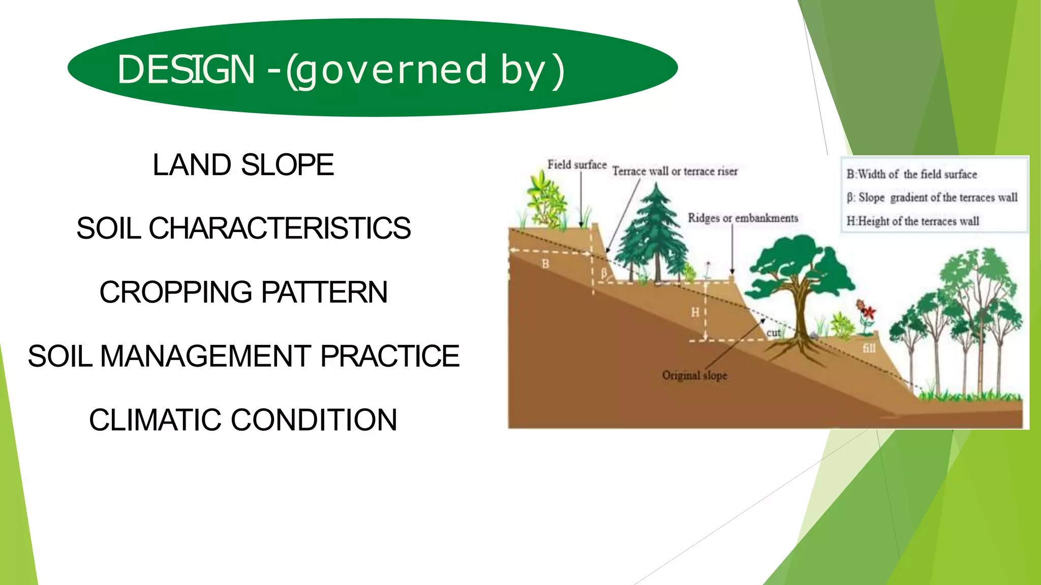 PRACTICAL AND DESIGN ASPECTS OF TERRACING (2)-4.pptx