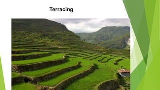 PRACTICAL AND DESIGN ASPECTS OF TERRACING (2)-4.pptx