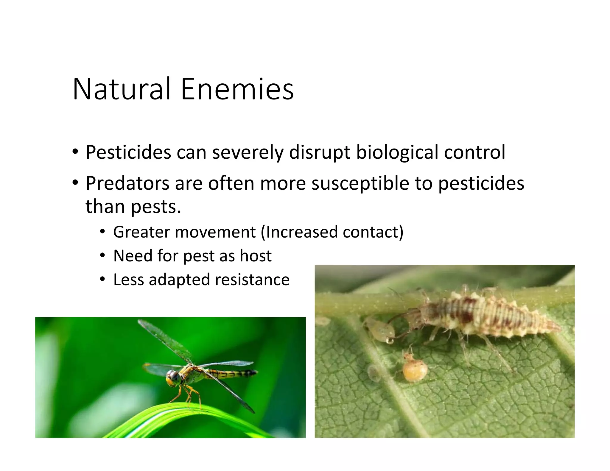 Practical Application of Pesticides | PDF