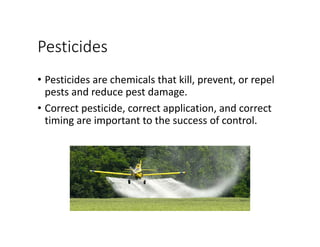 Practical Application of Pesticides | PDF