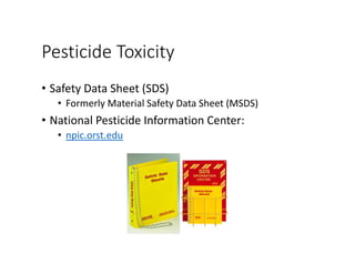 Practical Application of Pesticides | PDF