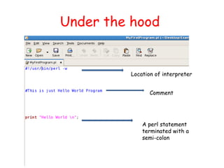 Practical approach to perl day1 | PDF