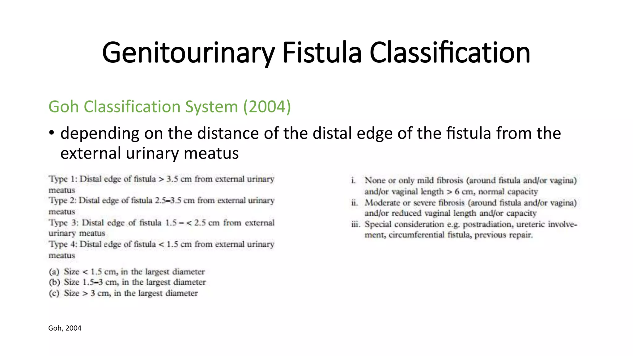 Practical Aspects about Urogenital Fistula Repair Grothuesmann | PPTX