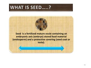Seed treatment, Seed germination and crop establishment in relation to ...