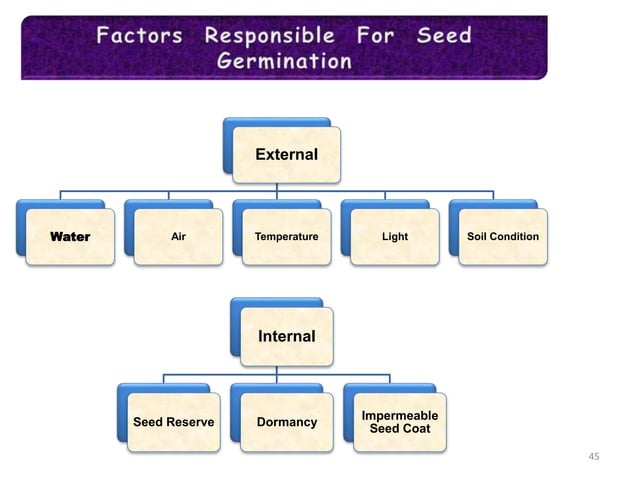 Seed treatment, Seed germination and crop establishment in relation to ...