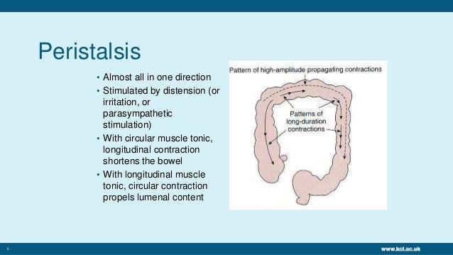 Practical bowel management in MS - Maureen Coggrave