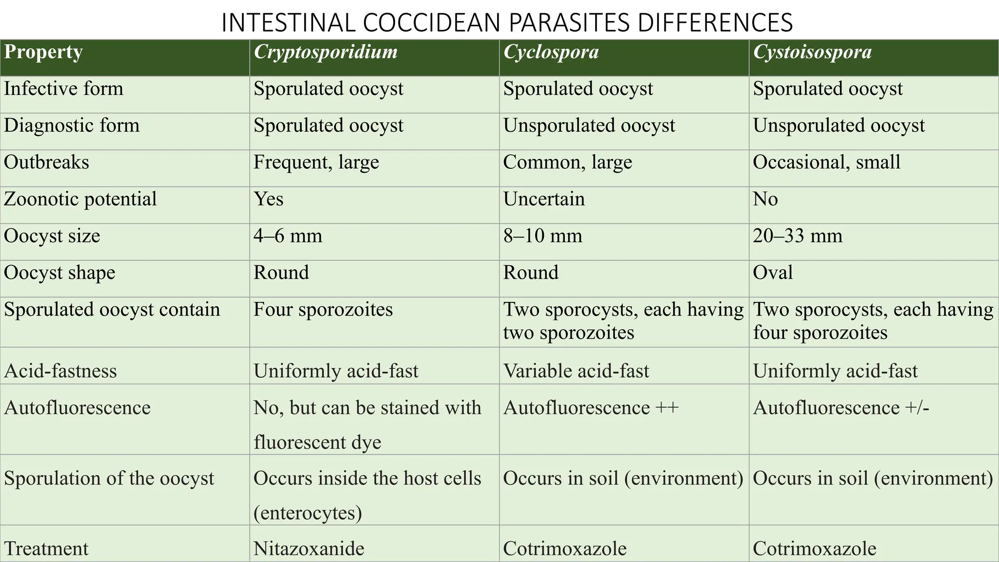 Practical charts - intestinal protozoans.pptx