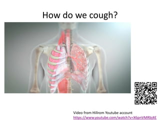 Differential diagnosis of cough in pediatric patients | PDF