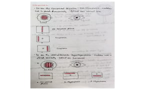 Practical Clinical refraction class 3.pptx | Eye and Vision Conditions ...