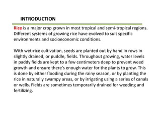 Practical crop production program | PPT