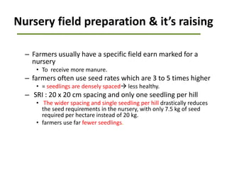 Practical crop production program | PPTX