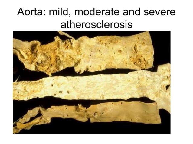 PRACTICAL CVS 2022.ppt