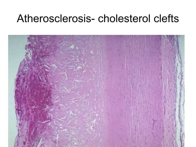 PRACTICAL CVS 2022.ppt