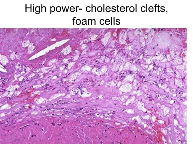 PRACTICAL CVS 2022.ppt