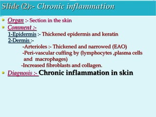 Practical dr magdy | PPT