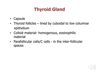 Practical endocrine 2018 | PPT