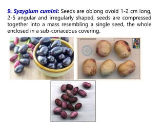 identification of seeds of important tree sps.pptx4.pptx