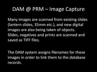 Practical Examples of a DAM Implementation: Daniel Burt | PPTX