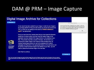 Practical Examples of a DAM Implementation: Daniel Burt | PPT