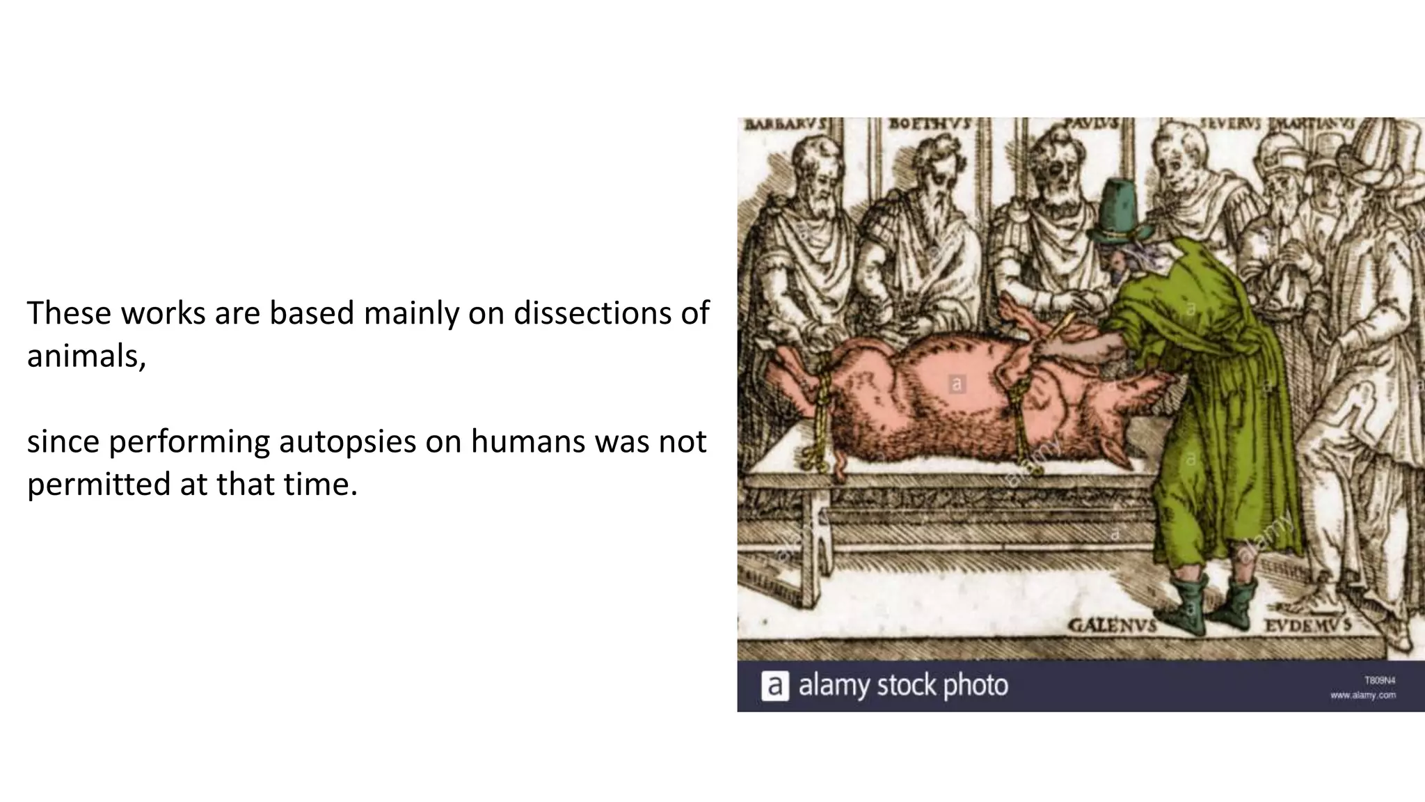 Practical experiments in lab. animals | PPTX