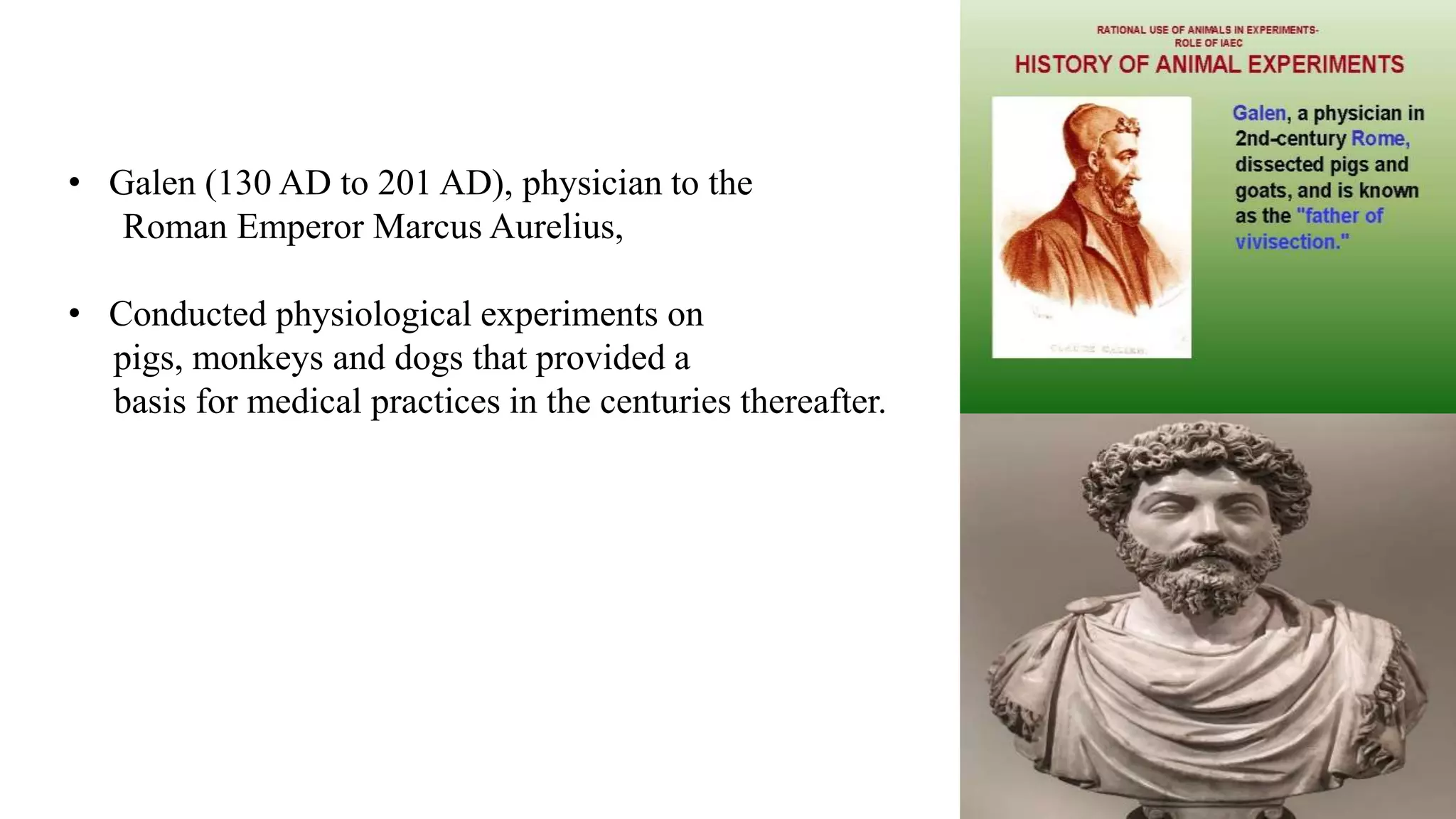 Practical experiments in lab. animals | PPTX