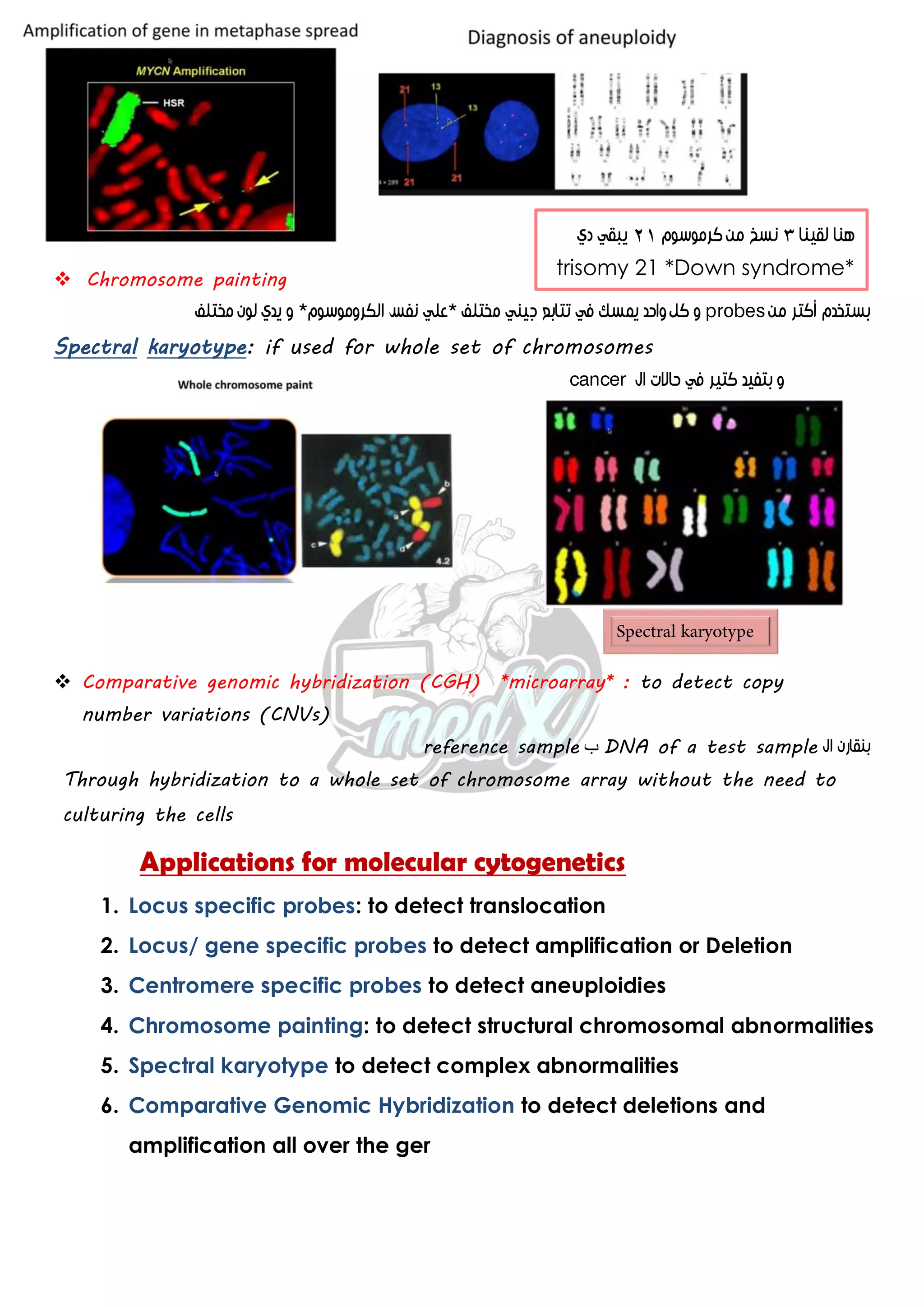 Practical genetics | PDF