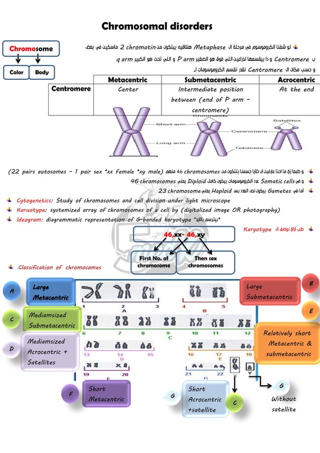 Practical genetics | PDF