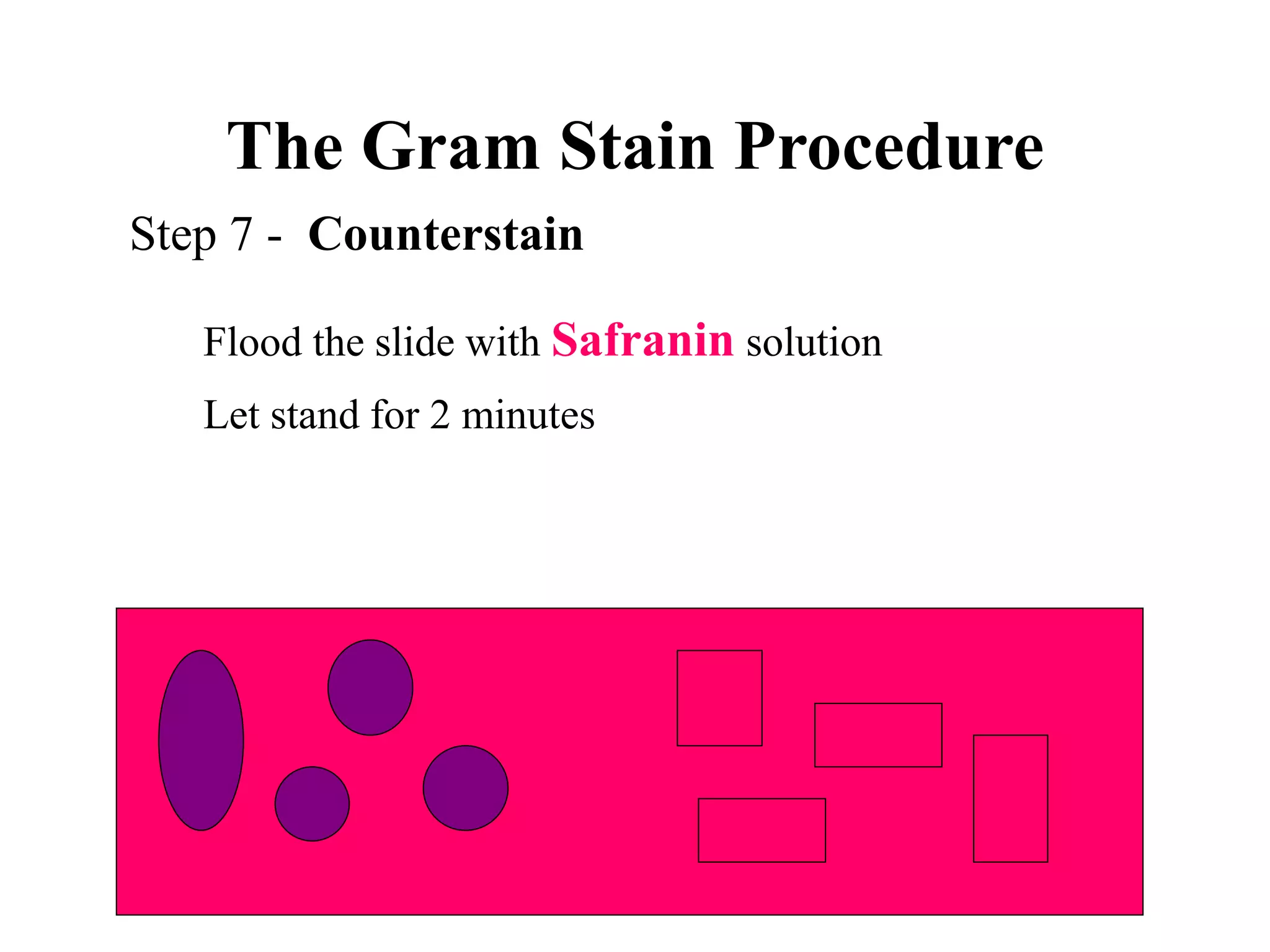 practical_gram_staining.ppt | Chemistry | Science