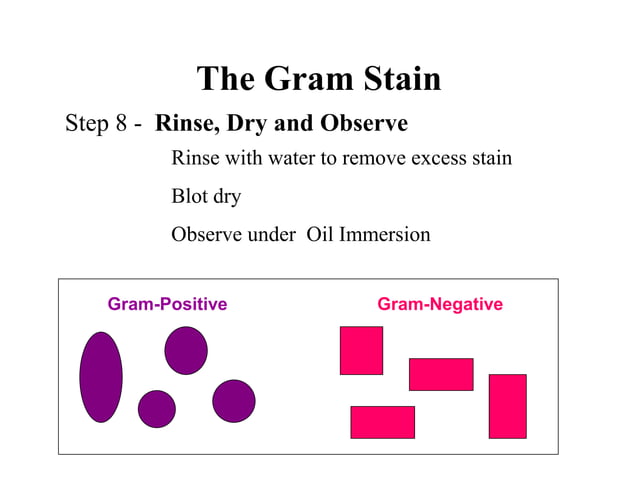 practical_gram_staining.ppt | Chemistry | Science